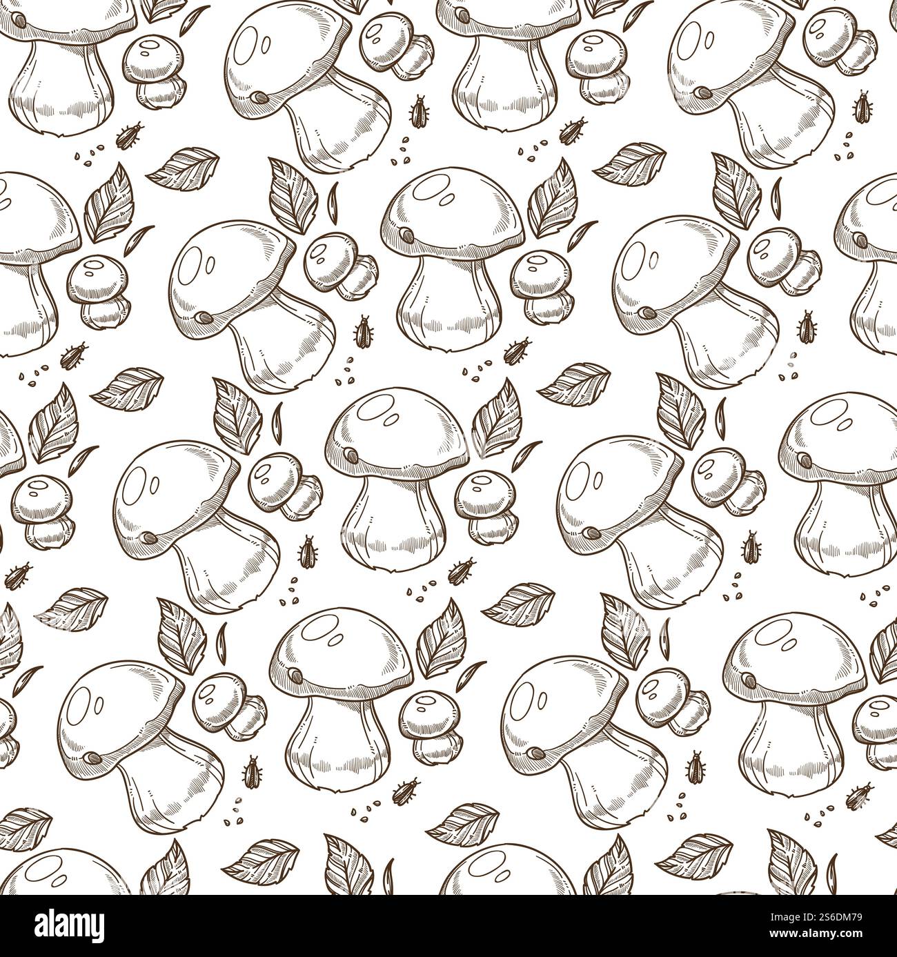 Polyphyletic fungi Stock Vector Images - Alamy