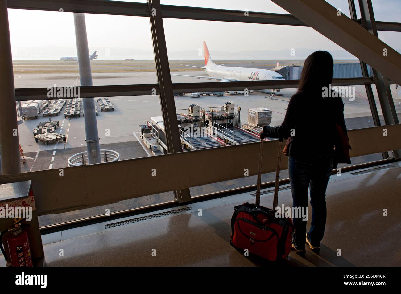 Female passenger looking through terminal window at Japan Airlines (JAL ...