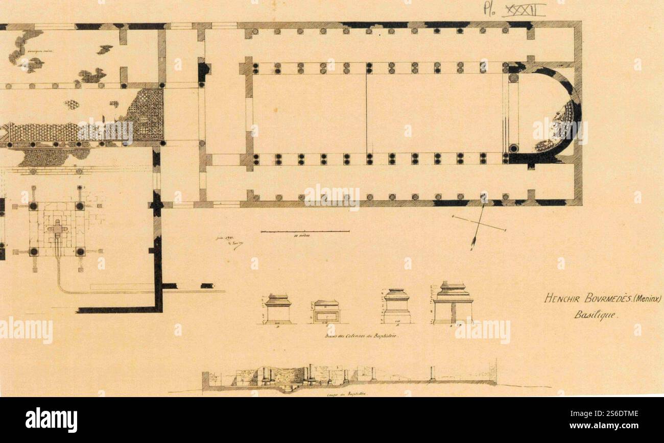 Meninx hi-res stock photography and images - Alamy