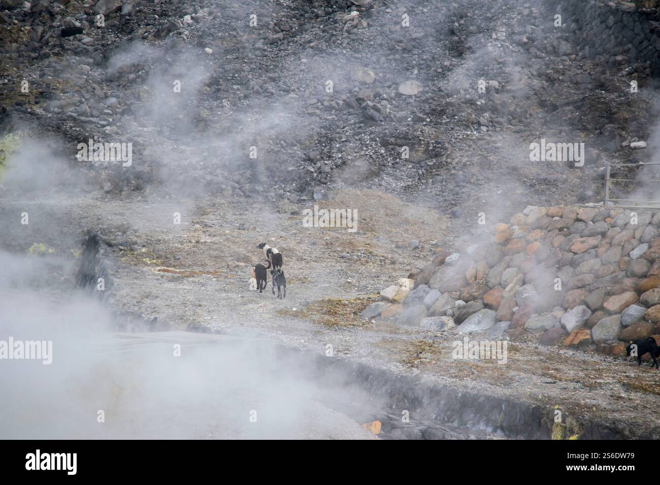 Yangmingshan National Park is home to hot springs near Taipei on the ...