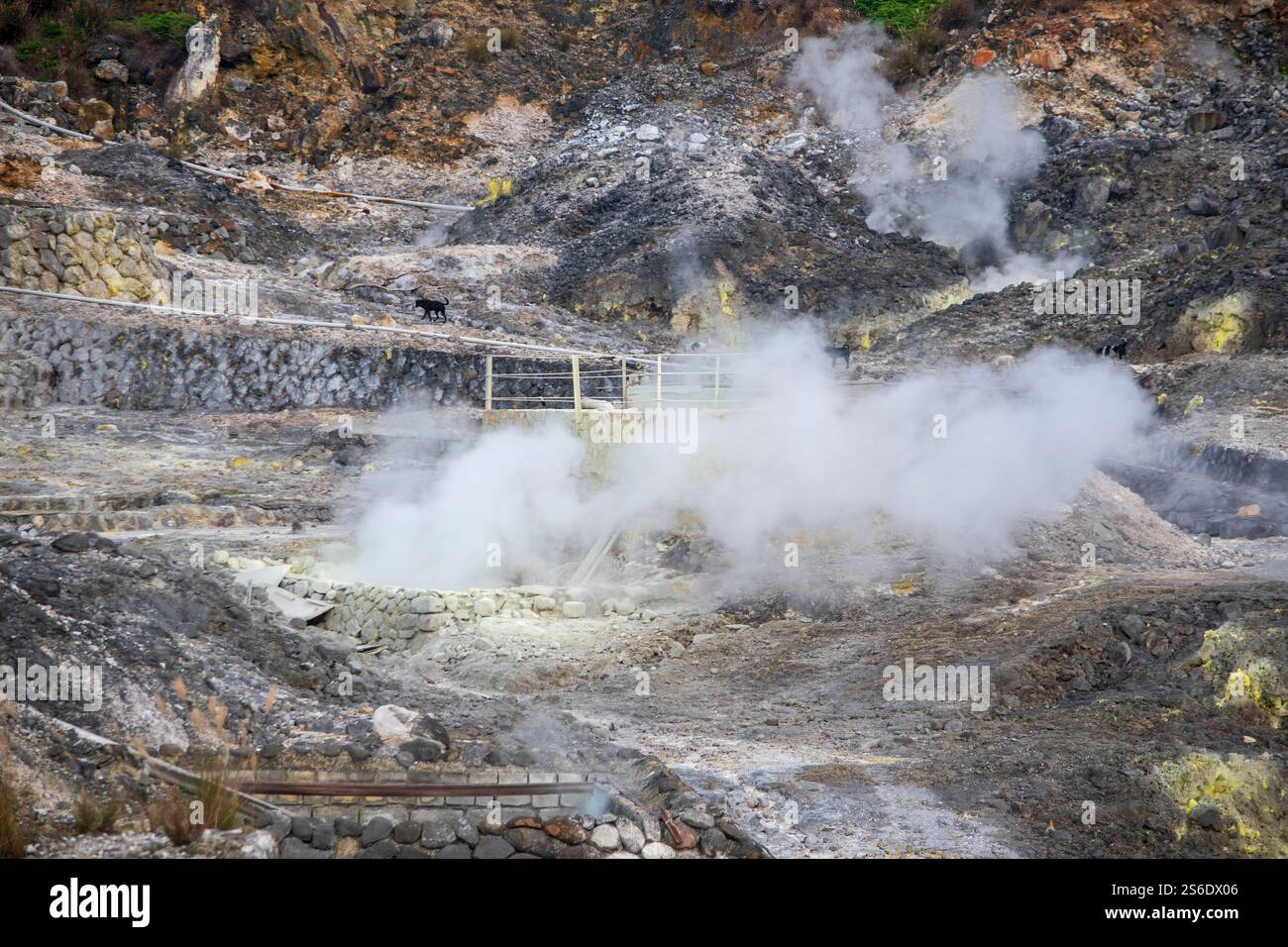 Yangmingshan National Park is home to hot springs near Taipei on the ...