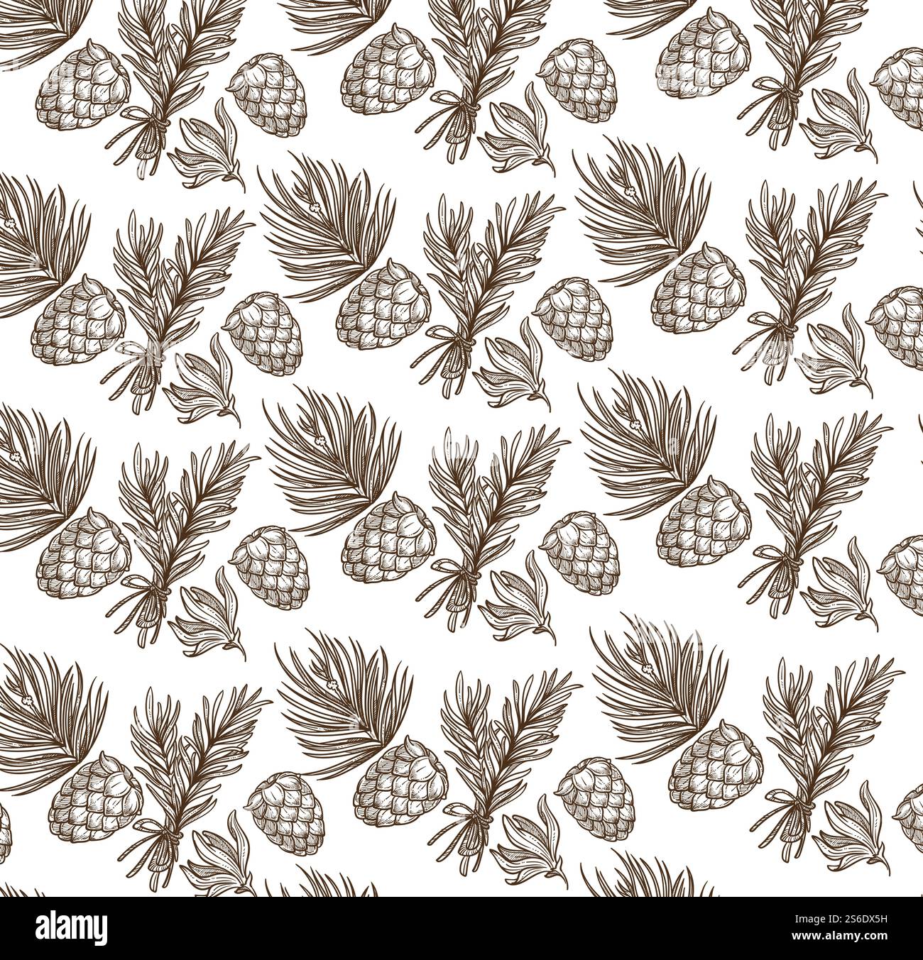 Pine needles detail in nature Stock Vector Images - Alamy