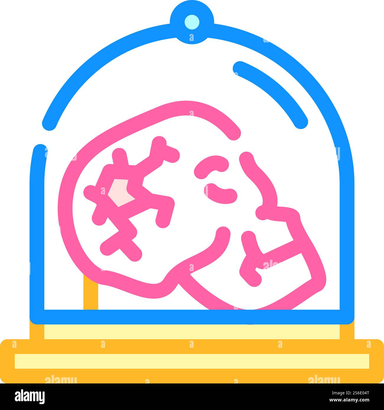 skull museum exhibit color icon vector. skull museum exhibit sign ...