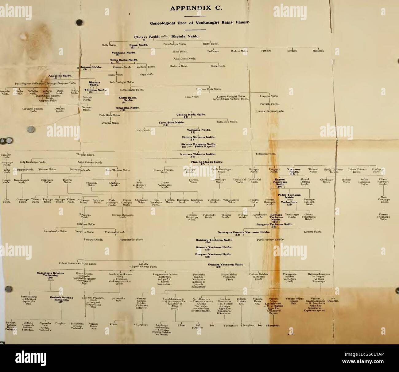 Geneological Tree of Venkatagiri Rajas' Family (page 264 crop Stock ...