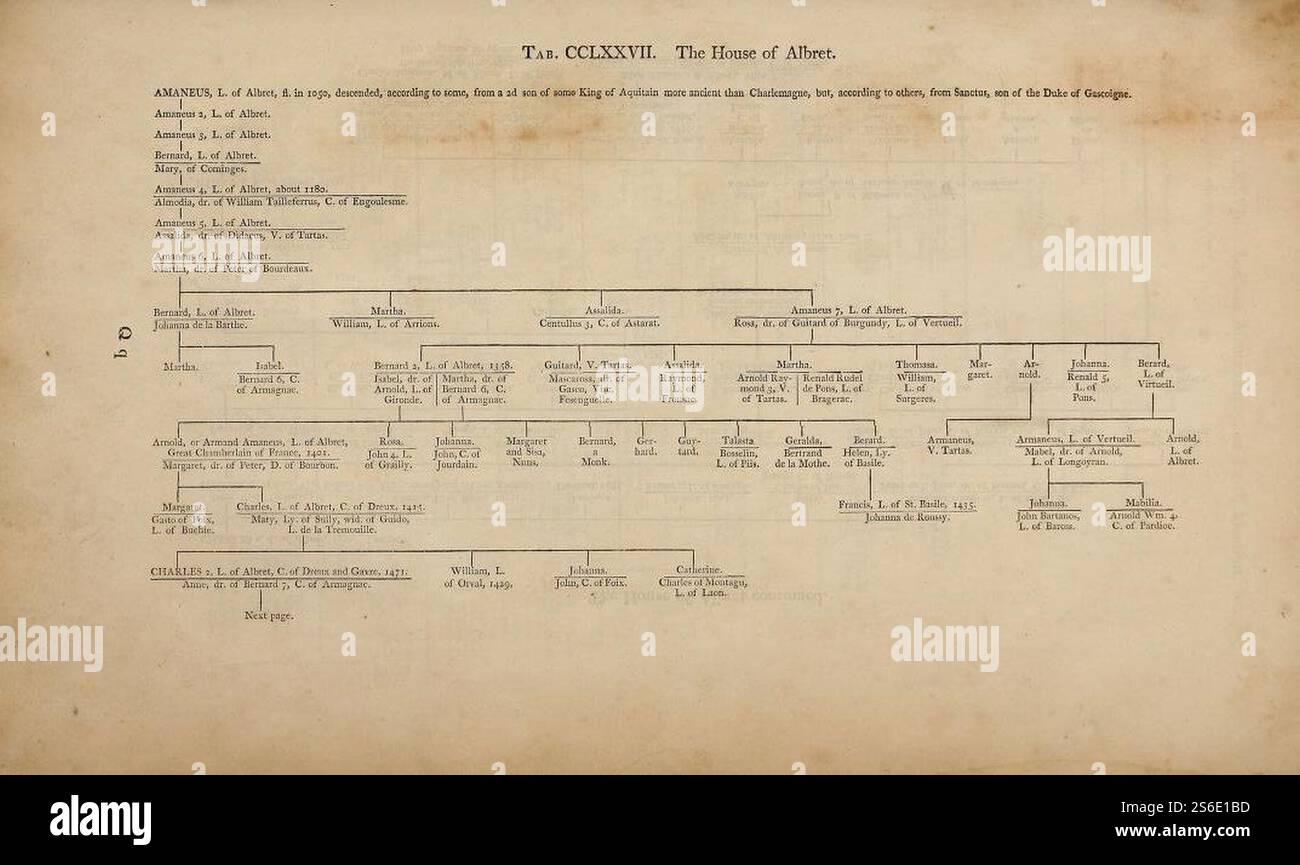 Genealogical table of the Albret Family, part 1 Stock Photo - Alamy