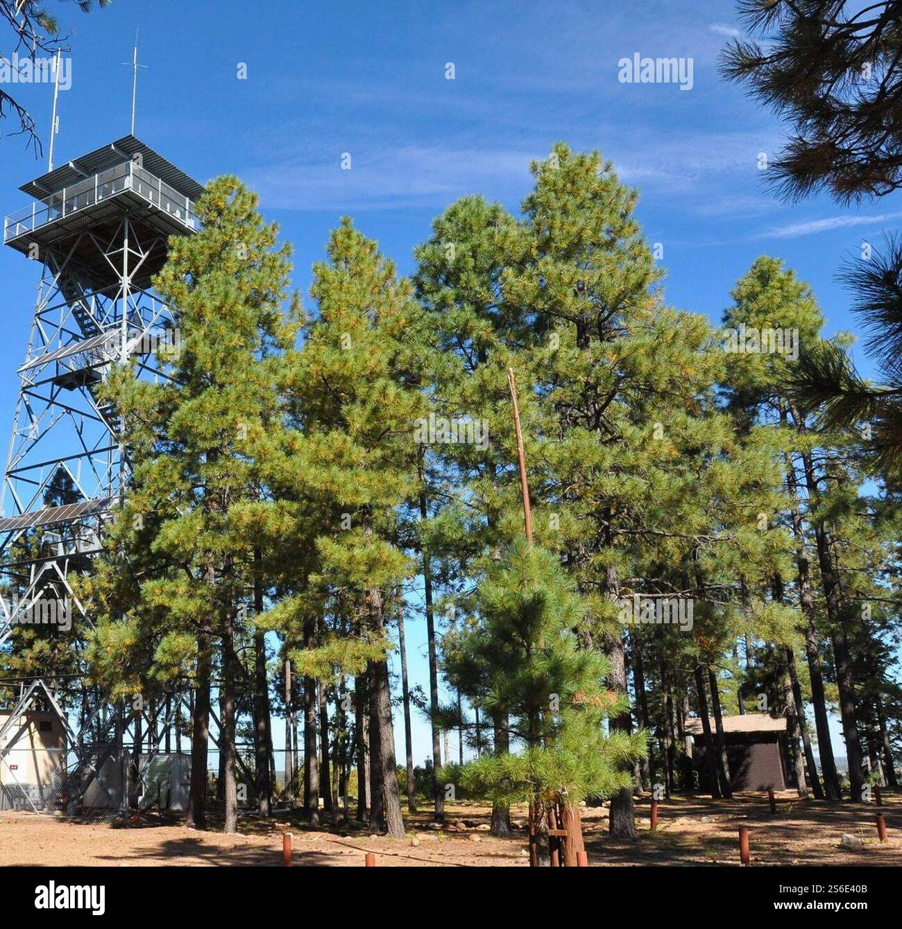 Gentry Fire Lookout Tower in Apache-Sitgreaves National Forests ...