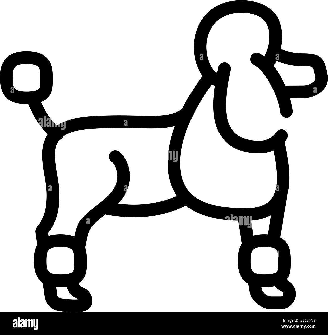 dog poodle line icon vector. dog poodle sign. isolated contour symbol black illustration. dog ...