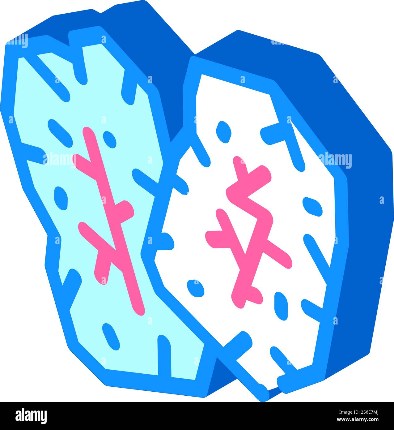 runes accessory isometric icon vector. runes accessory sign. isolated ...