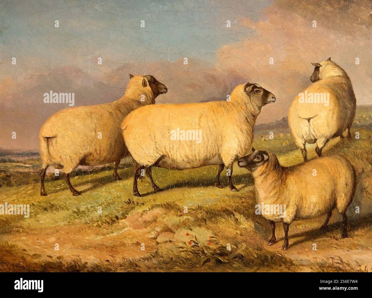 George Bouverie Goddard06 Stock Photo - Alamy