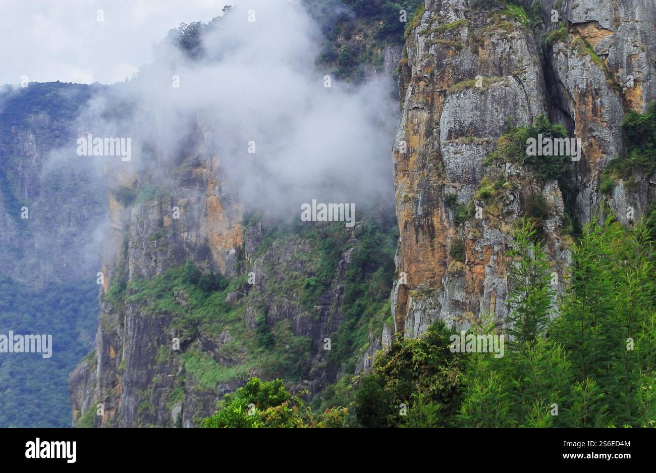 beautiful palani mountains range from kodaikanal hill station in summer ...