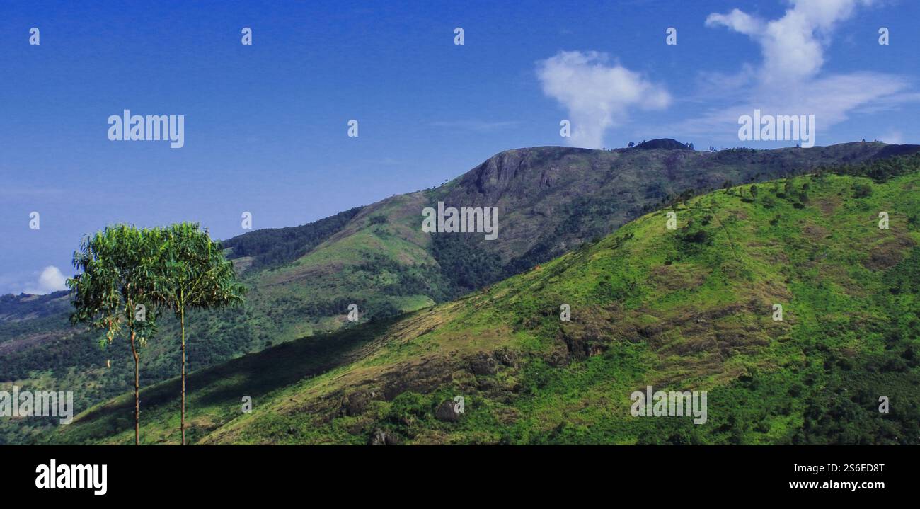 beautiful palani mountains range from kodaikanal hill station in summer ...