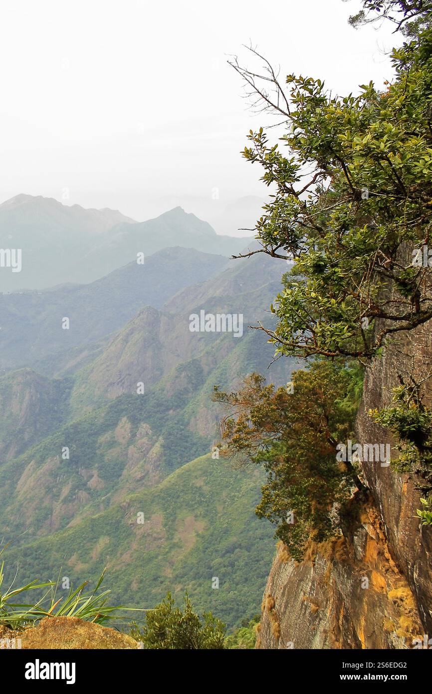 beautiful palani mountains range from kodaikanal hill station in summer ...