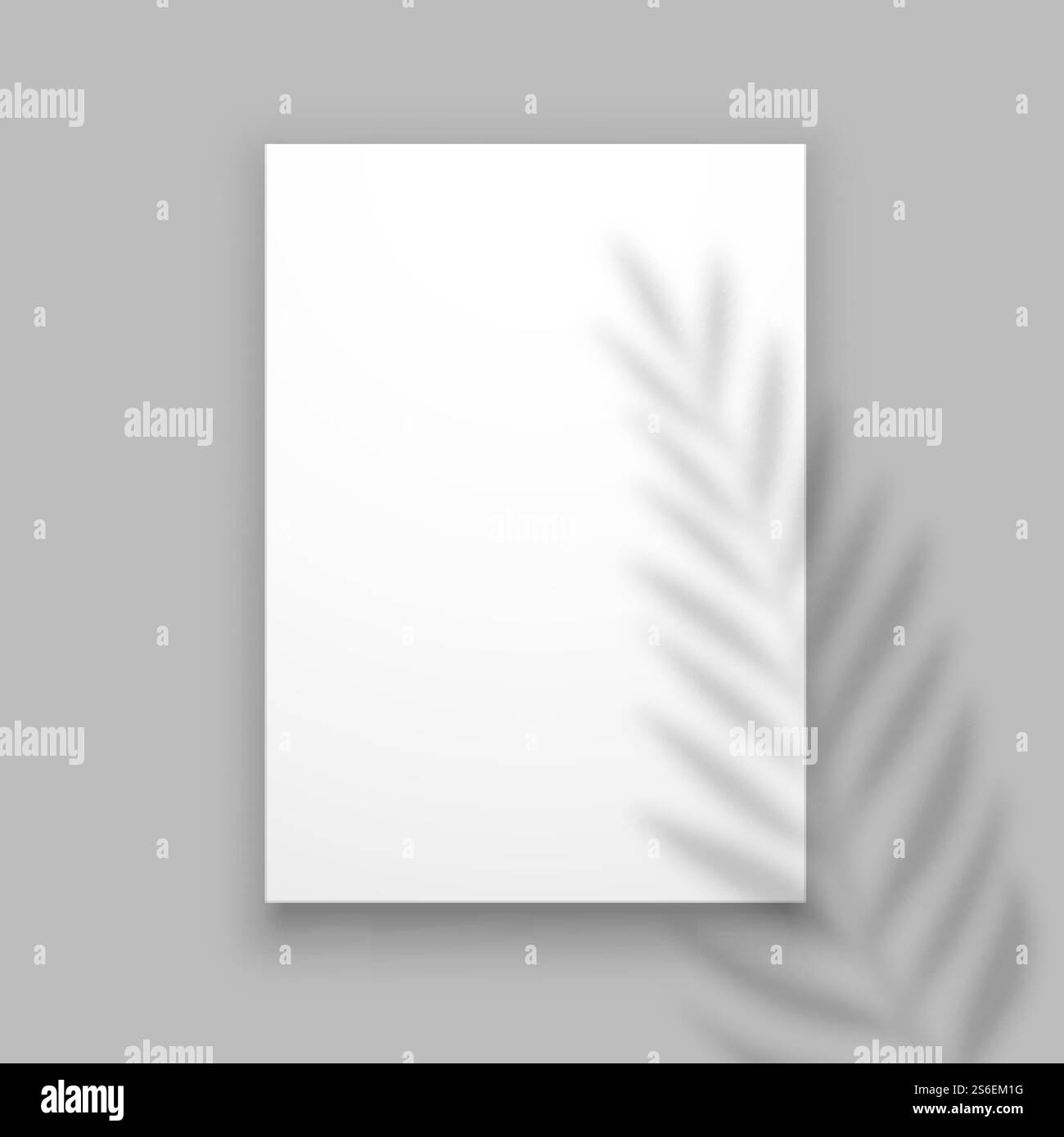 Shadow plant. Overlay palm leaf effect on paper sheet. Summer ...