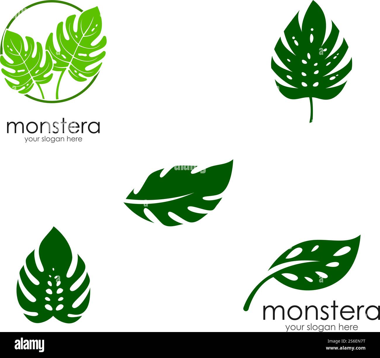 Monstera leaf logo vector design Stock Vector Image & Art - Alamy