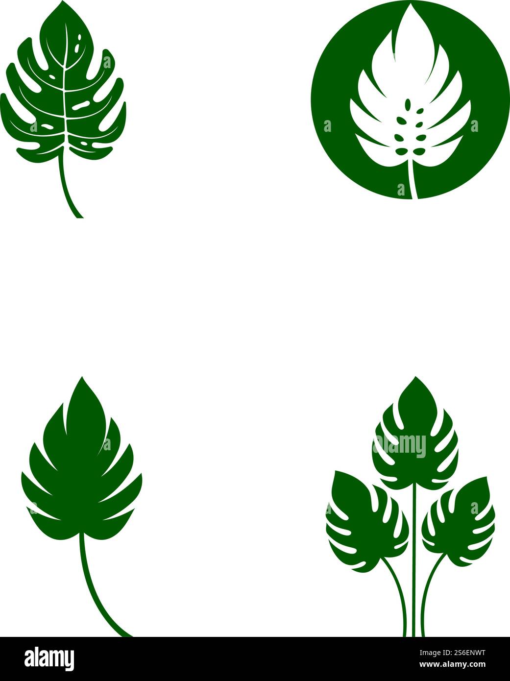 Monstera leaf logo vector design Stock Vector Image & Art - Alamy