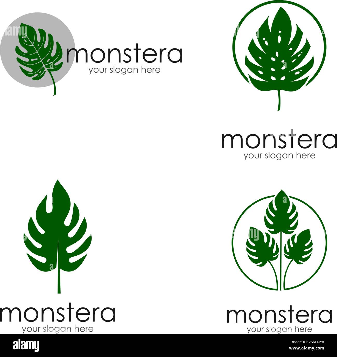 Monstera leaf logo vector design Stock Vector Image & Art - Alamy