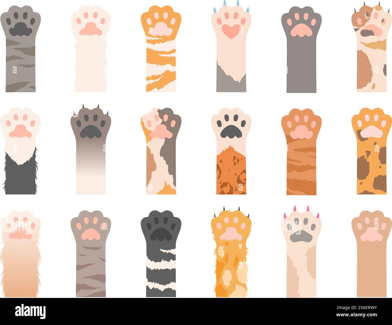 Pets paw. Wild cats different paws with claws vector collection ...