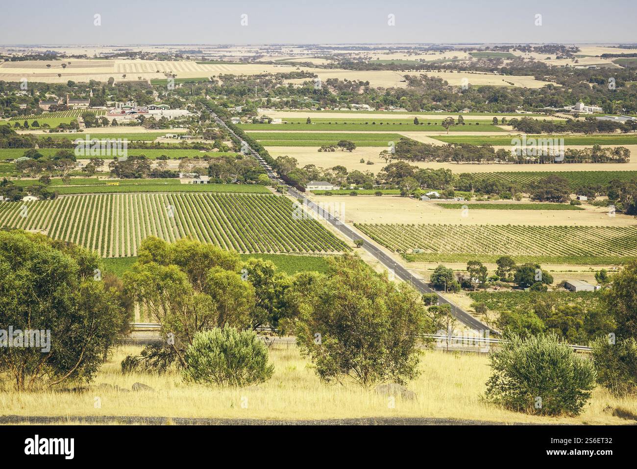 An image of the Barossa Valley landscape in Australia Stock Photo - Alamy