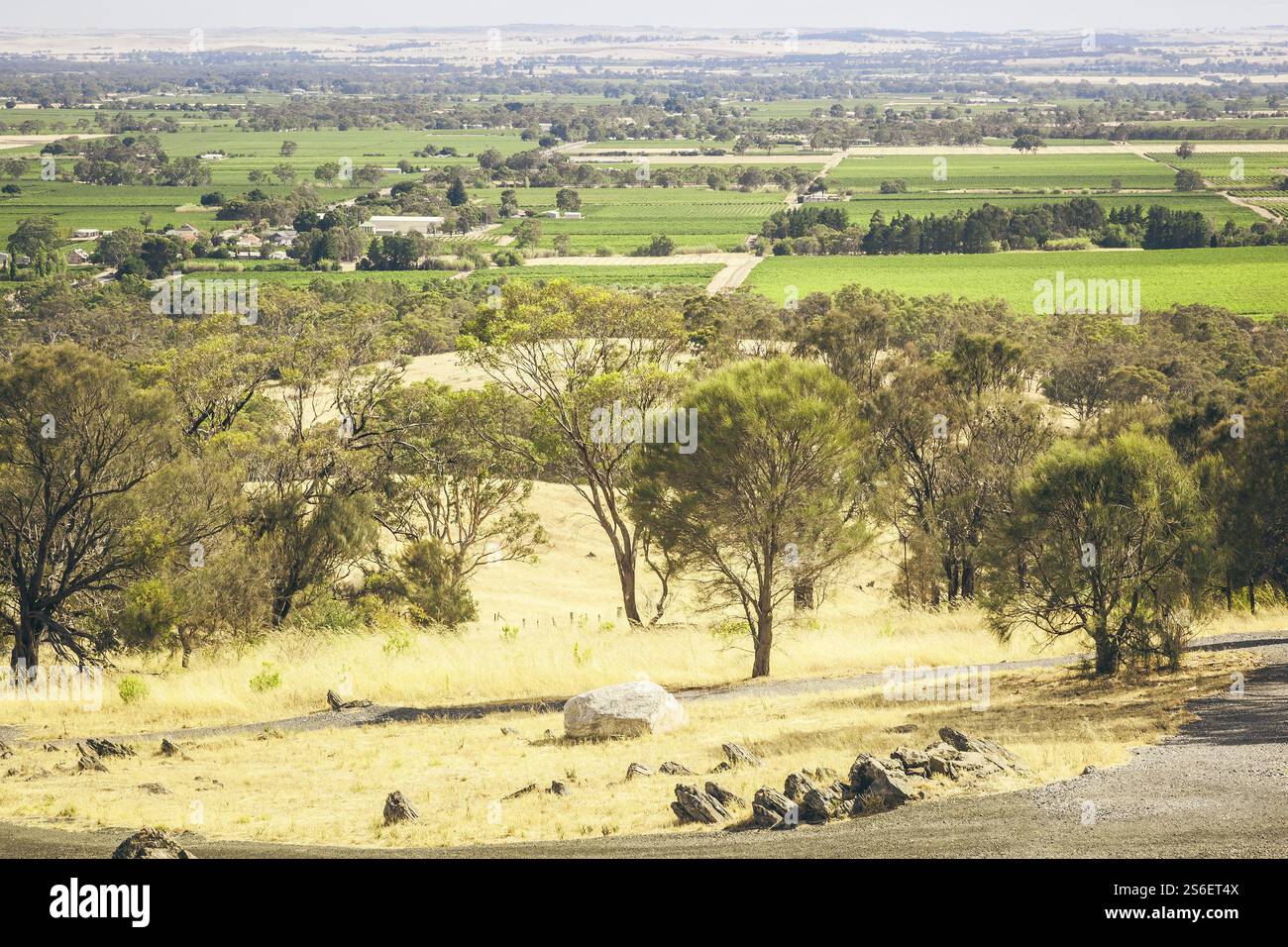 An image of the Barossa Valley landscape in Australia Stock Photo - Alamy