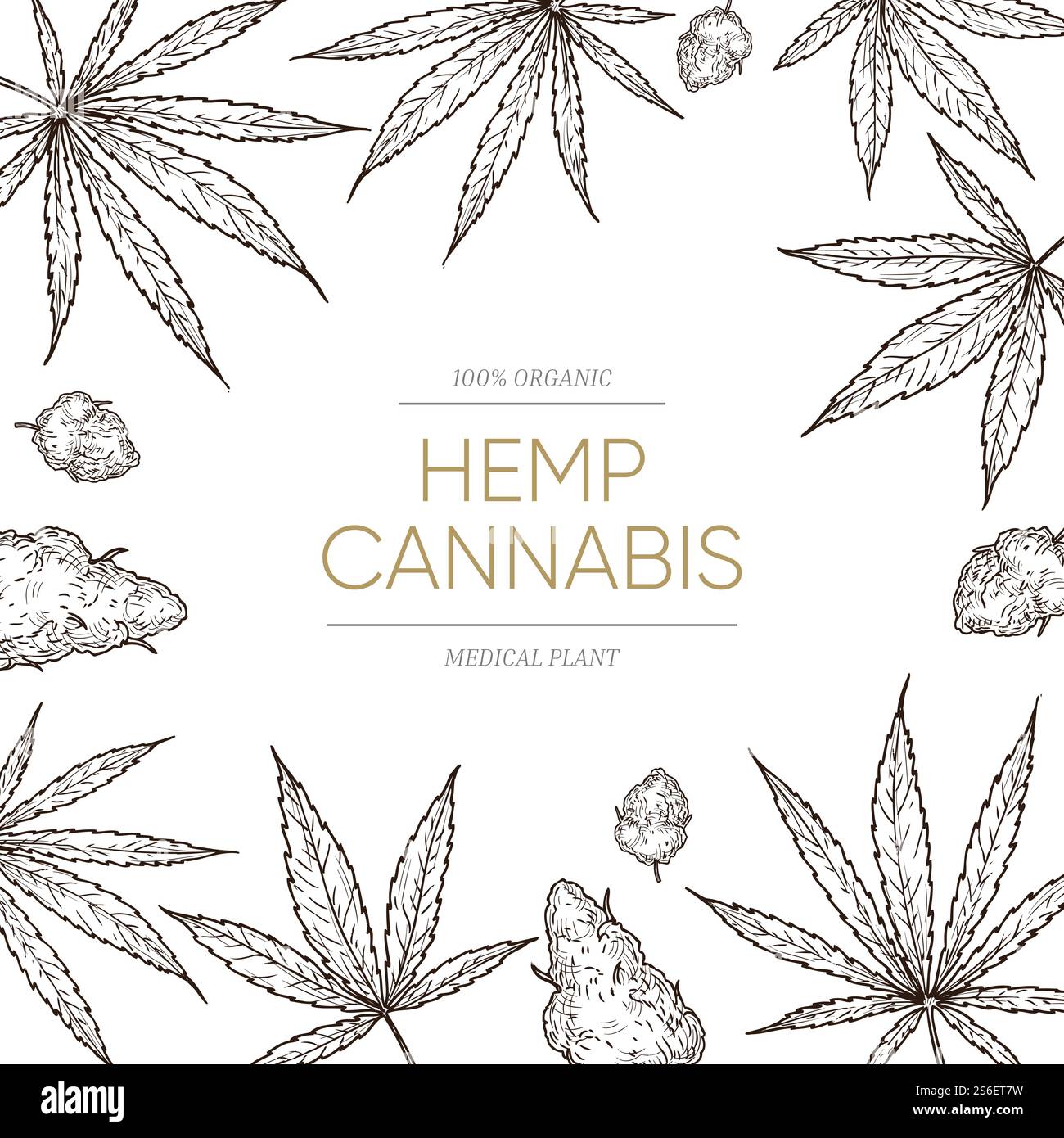 Cannabis sketch background. Medical marijuana leaves and seeds concept ...