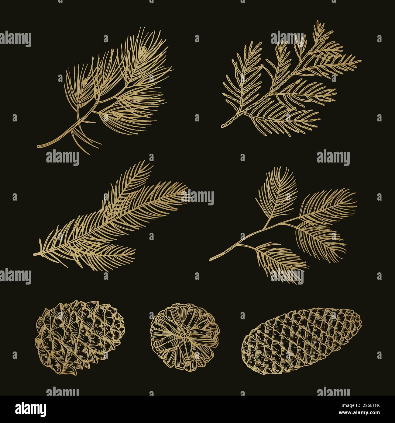 Gold fir branches and cones doodle vector set. Illustration pine cone ...