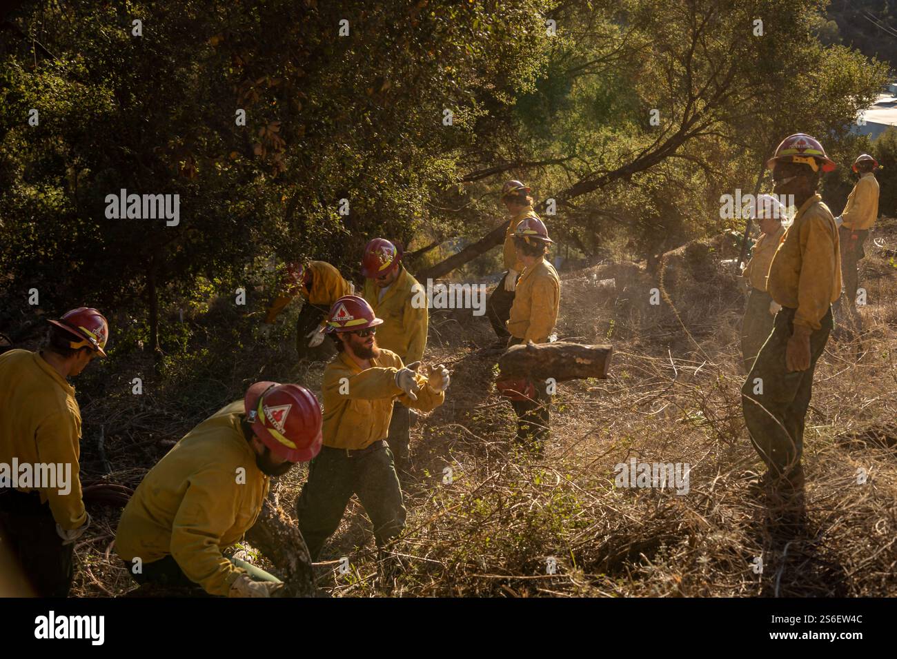 Los Angeles, United States. 15th Jan, 2025. A team of firefighters from ...