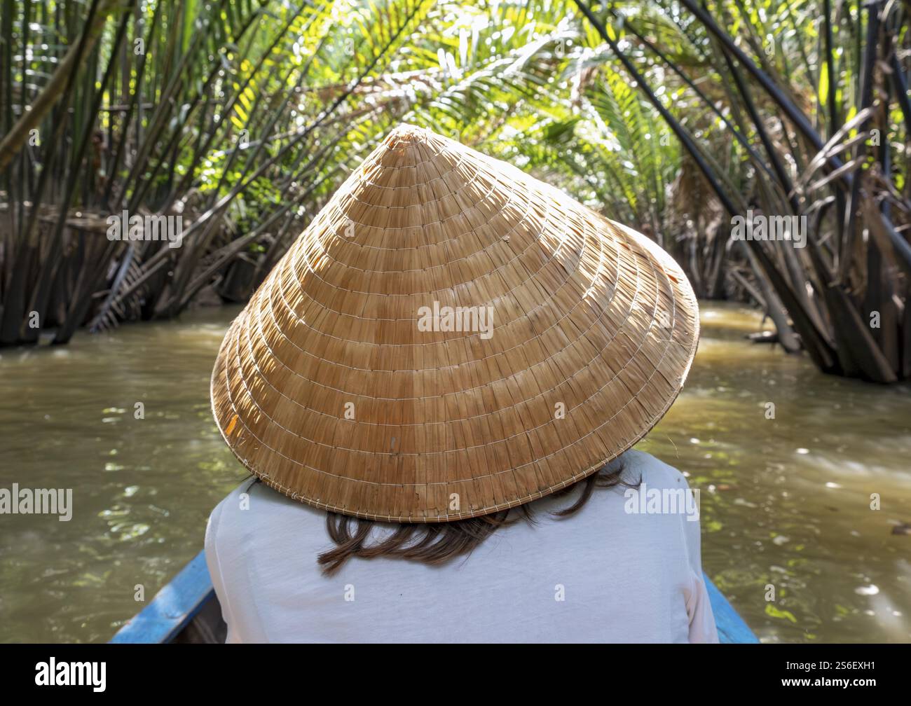 Back view of woman with traditional Vietnamese conical hat on a boat ...