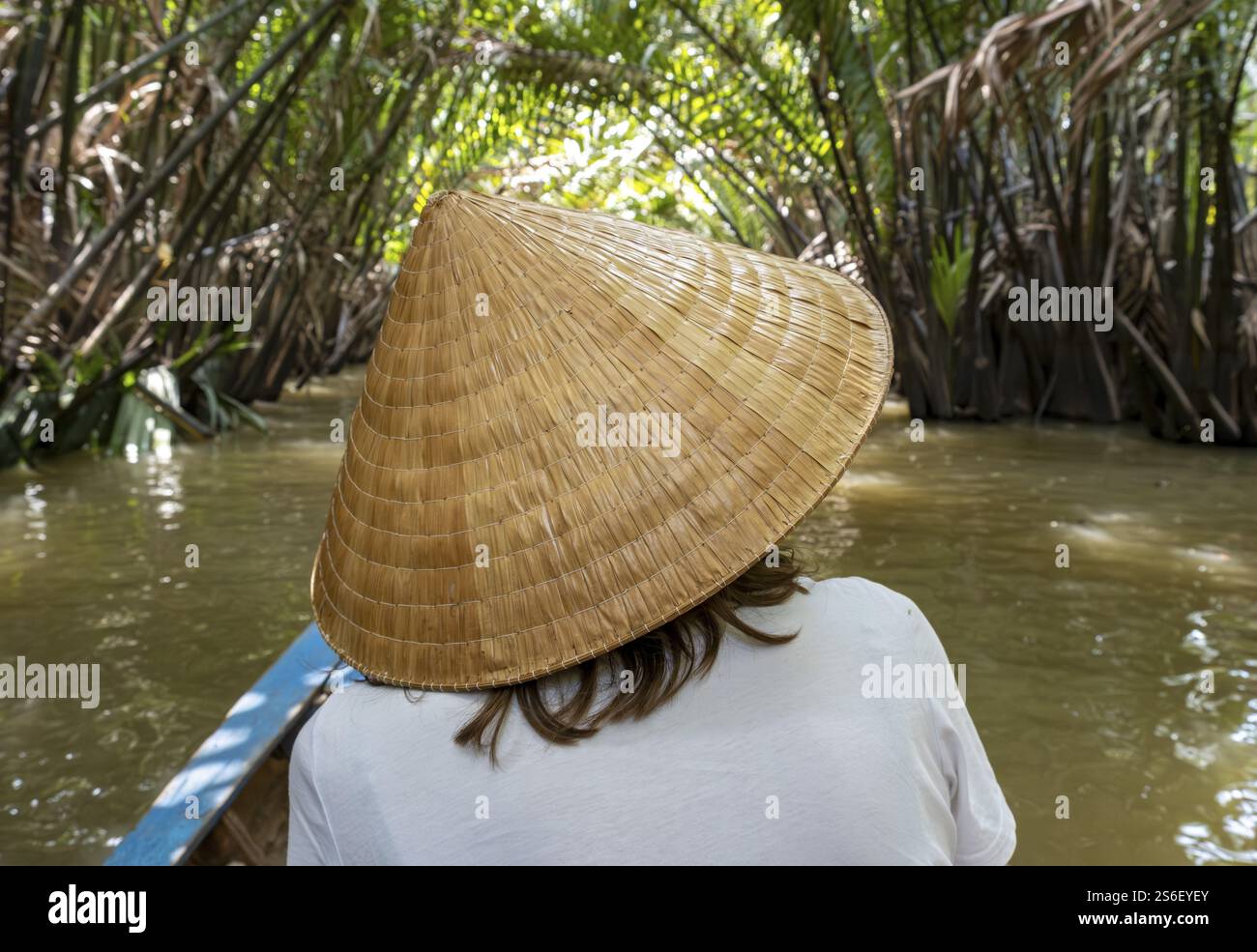 Back view of woman with traditional Vietnamese conical hat on a boat ...