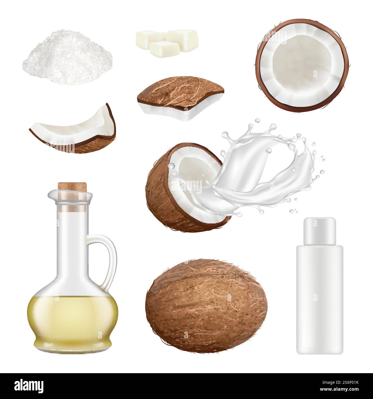 Coconut realistic. Exotic palm tree cut tropical food cocos drink ...