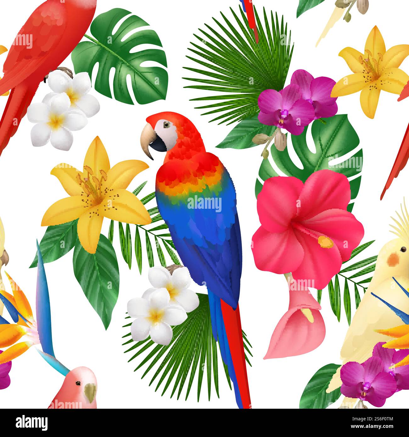 Tropical pattern. Exotic flowers and birds colored beautiful amazonian ...