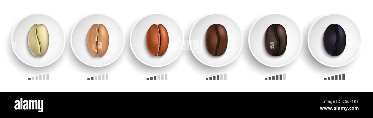 Coffee roasting guide. Realistic coffee beans in various roasting ...