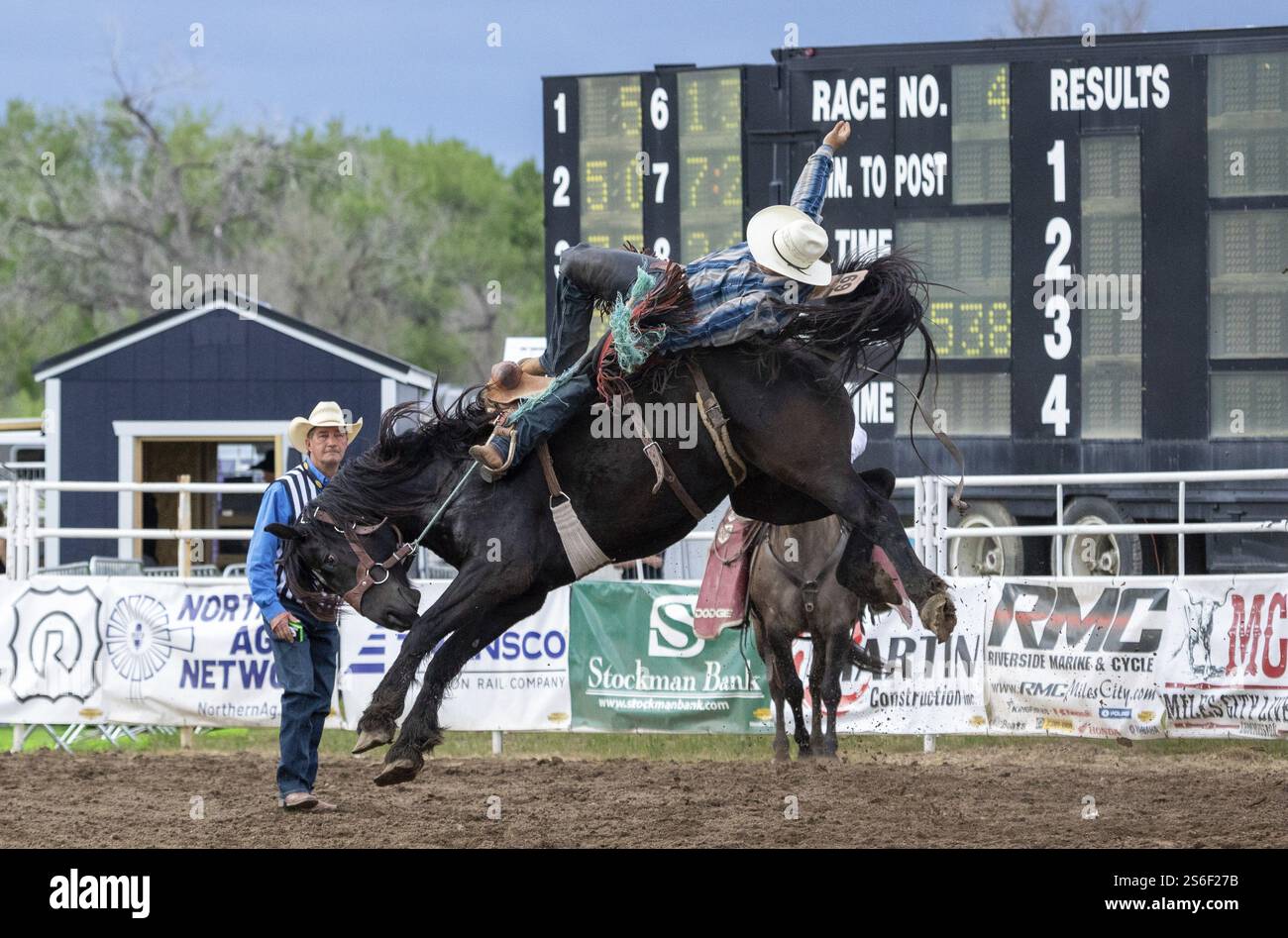 Rodeo ride at the Bucking Horse Sale, Rodeo, Miles City, Montana, USA ...