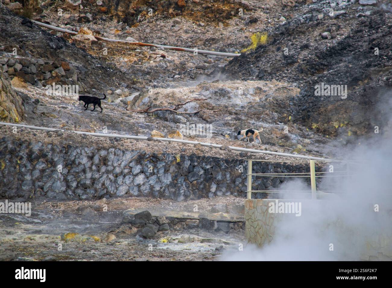 Yangmingshan National Park is home to hot springs near Taipei on the ...