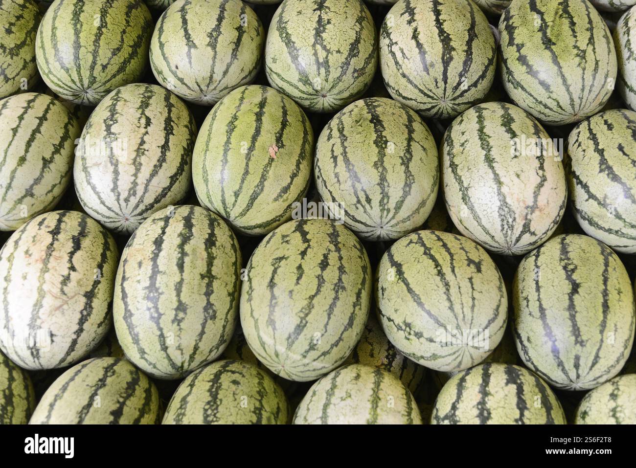 Close-up of stacked watermelons, Aurangabad, Mumbai, South India, India ...