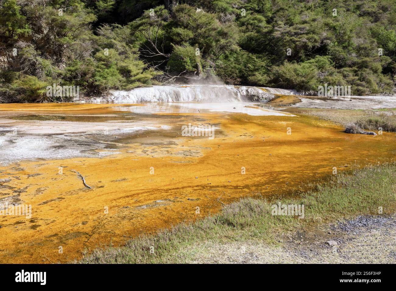 An image of a volcanic activities at waimangu new zealand Stock Photo ...
