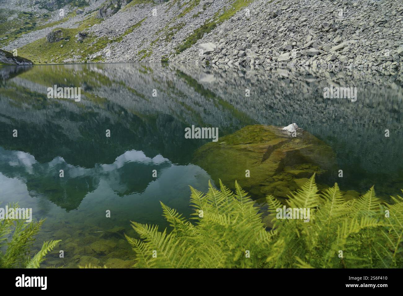Lago Fiorenza, Parco Monviso, Monviso nature park Park, Cuneo Nature ...