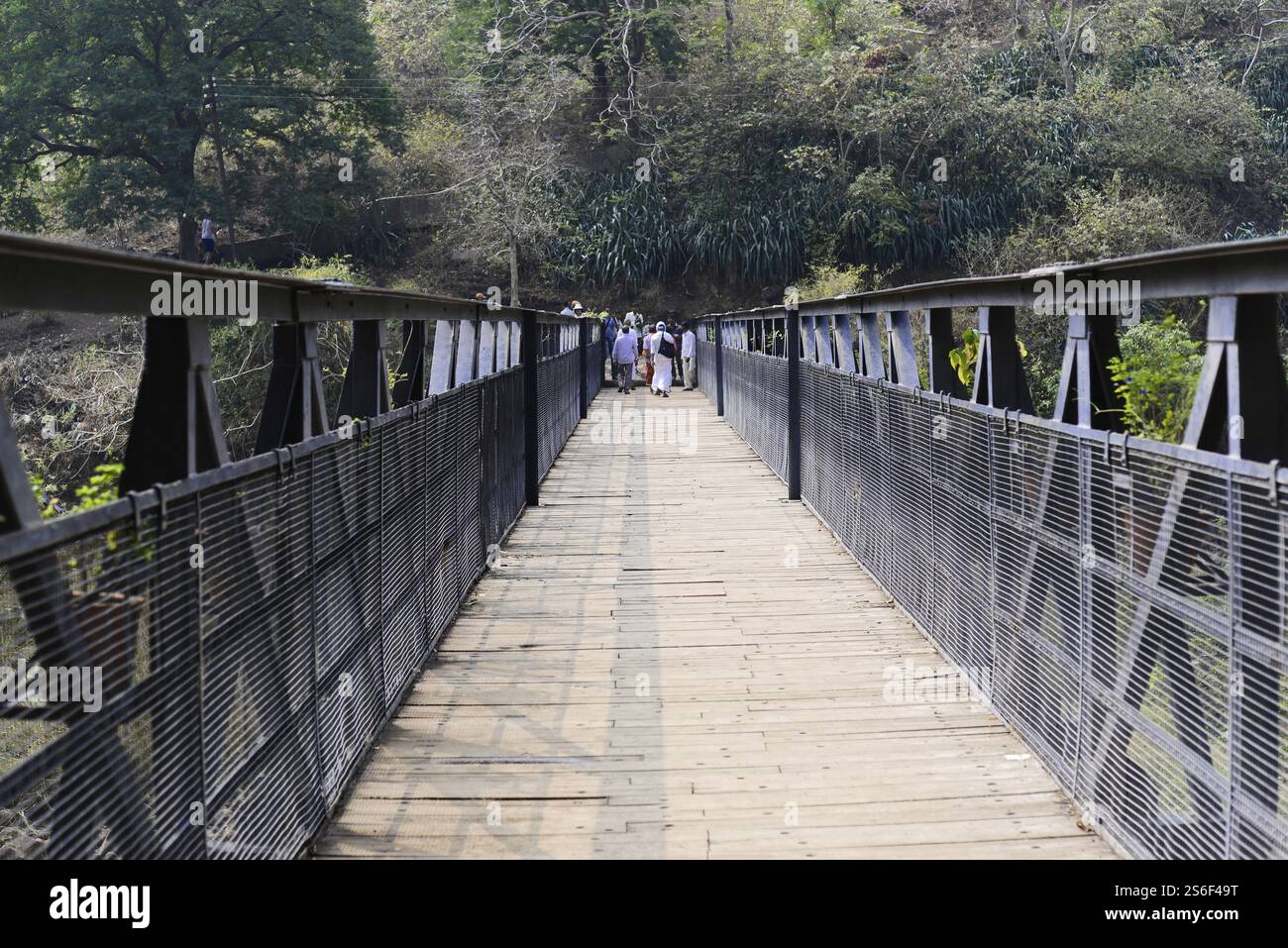 Caves of Ajanta and Ellora, Long wooden bridge over a wooded area ...