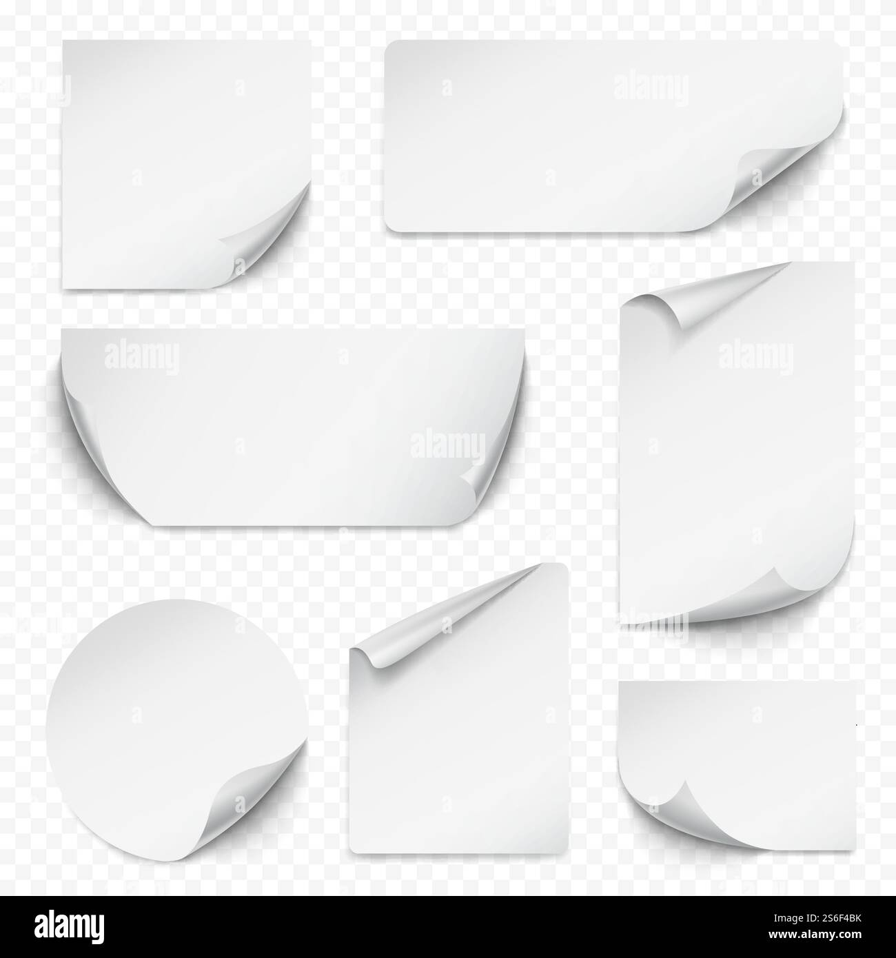 Curled sticker. Blank etiqueta rectangular paper with curved corners ...