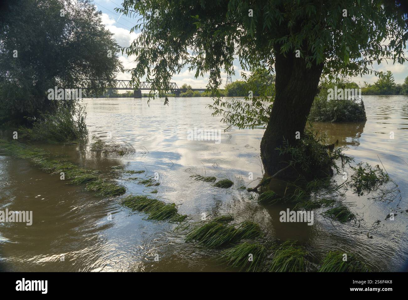 River plain with tree and bridge in the background, high water, Bogen ...