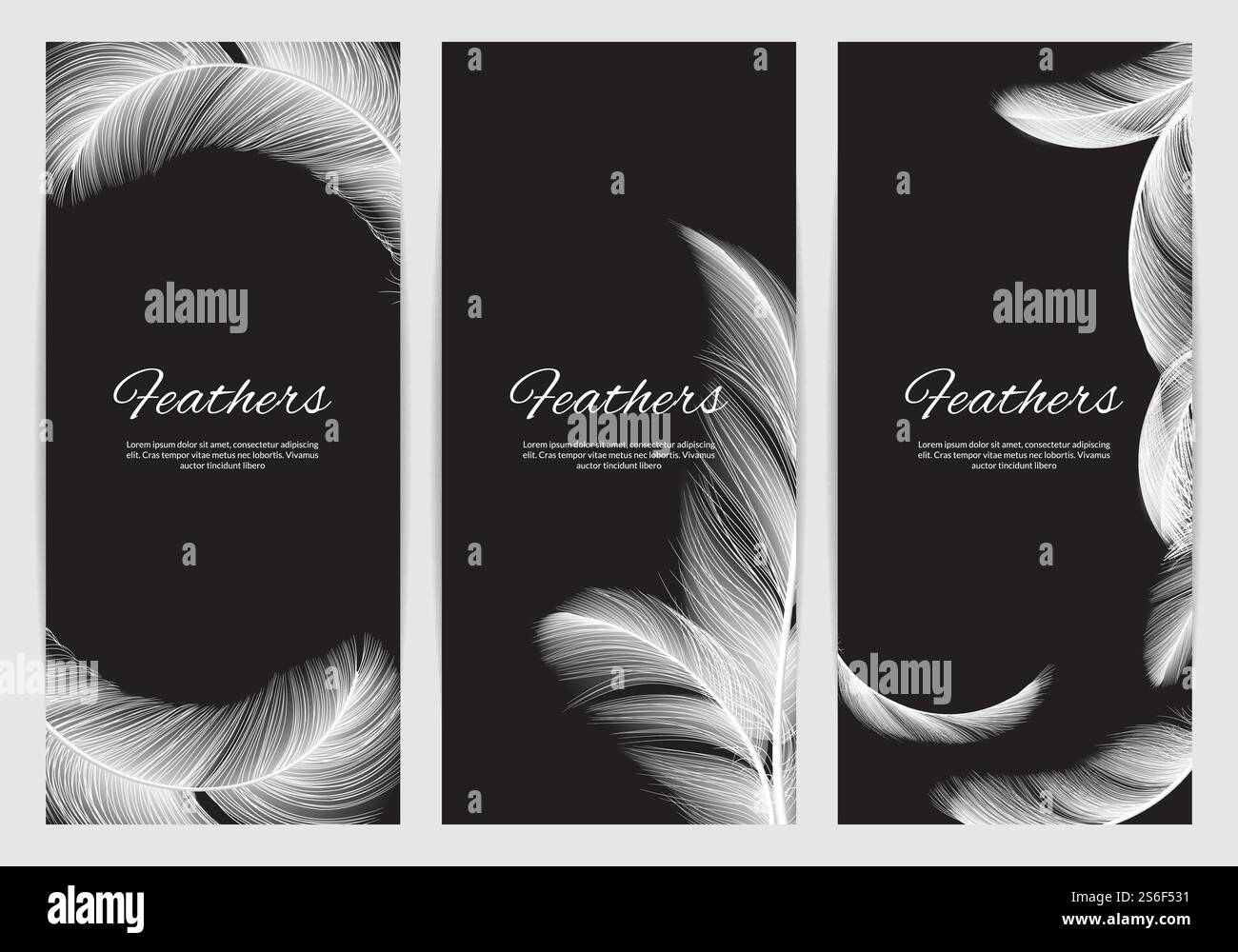 Feathers banners template. Realistic white swan falling feathers vector ...