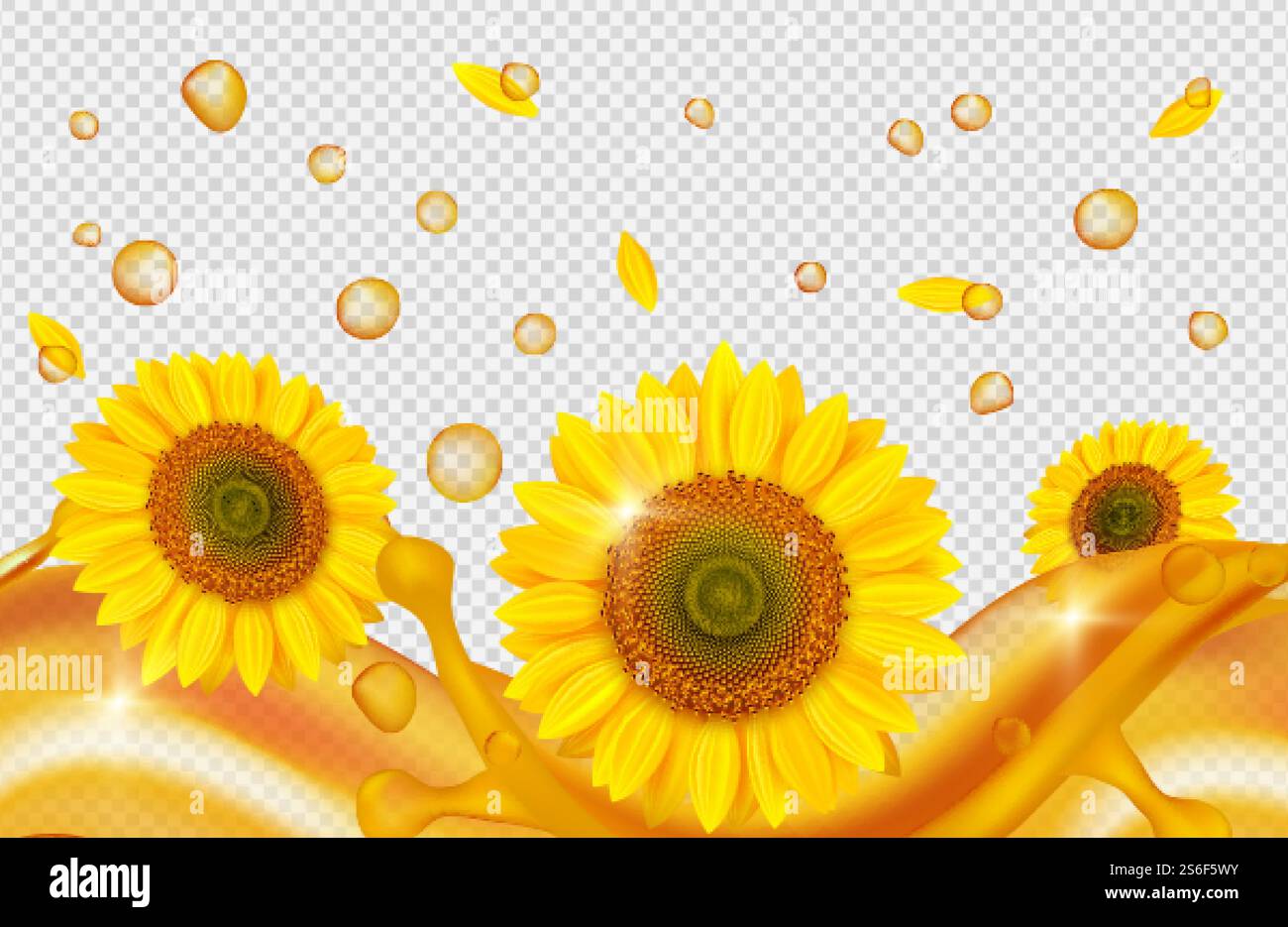 Sunflower oil realistic. Golden drops, oil waves, sunflowers vector ...