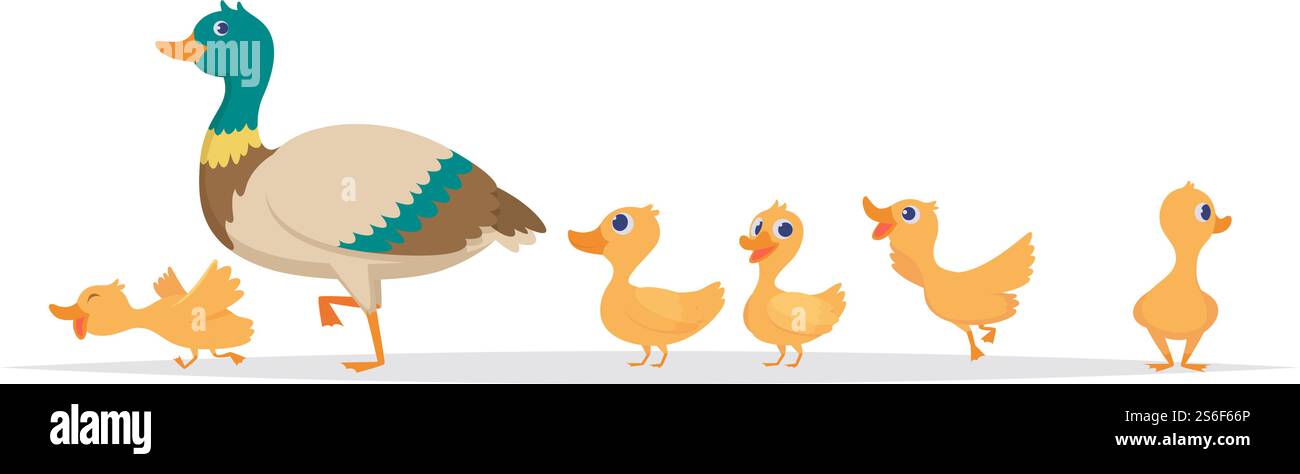 Mother duck. Row of wild ducks birds family walking vector cartoon ...