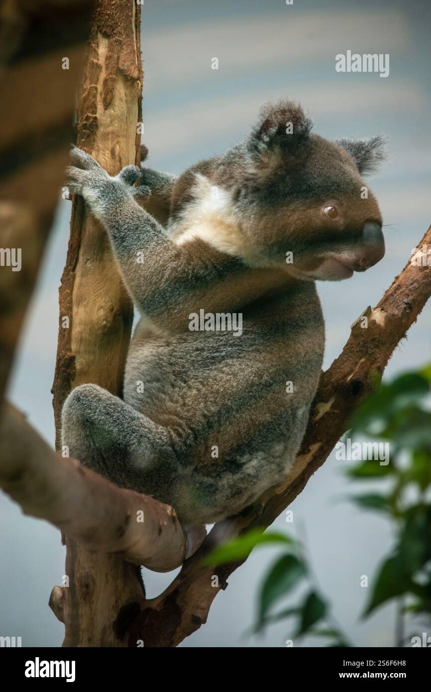 The Taipei Zoo in Taiwan's capital features many different kinds of ...