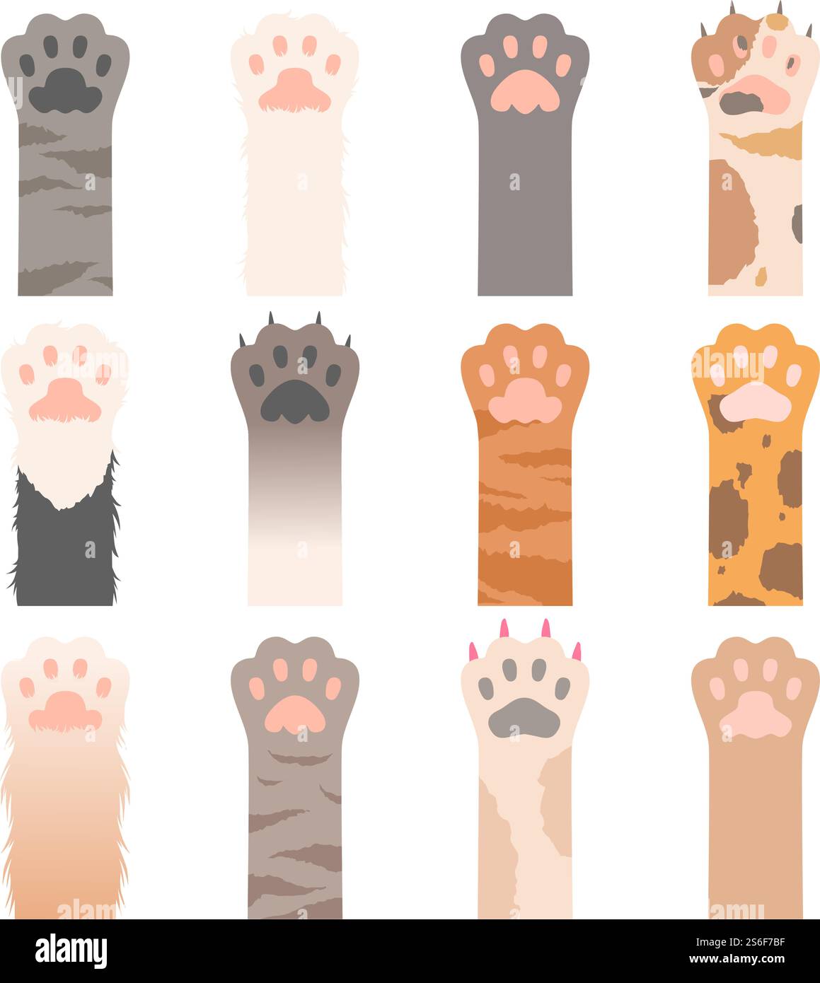 Paw cats. Cute animals hands wild cats claws vector cartoon characters ...