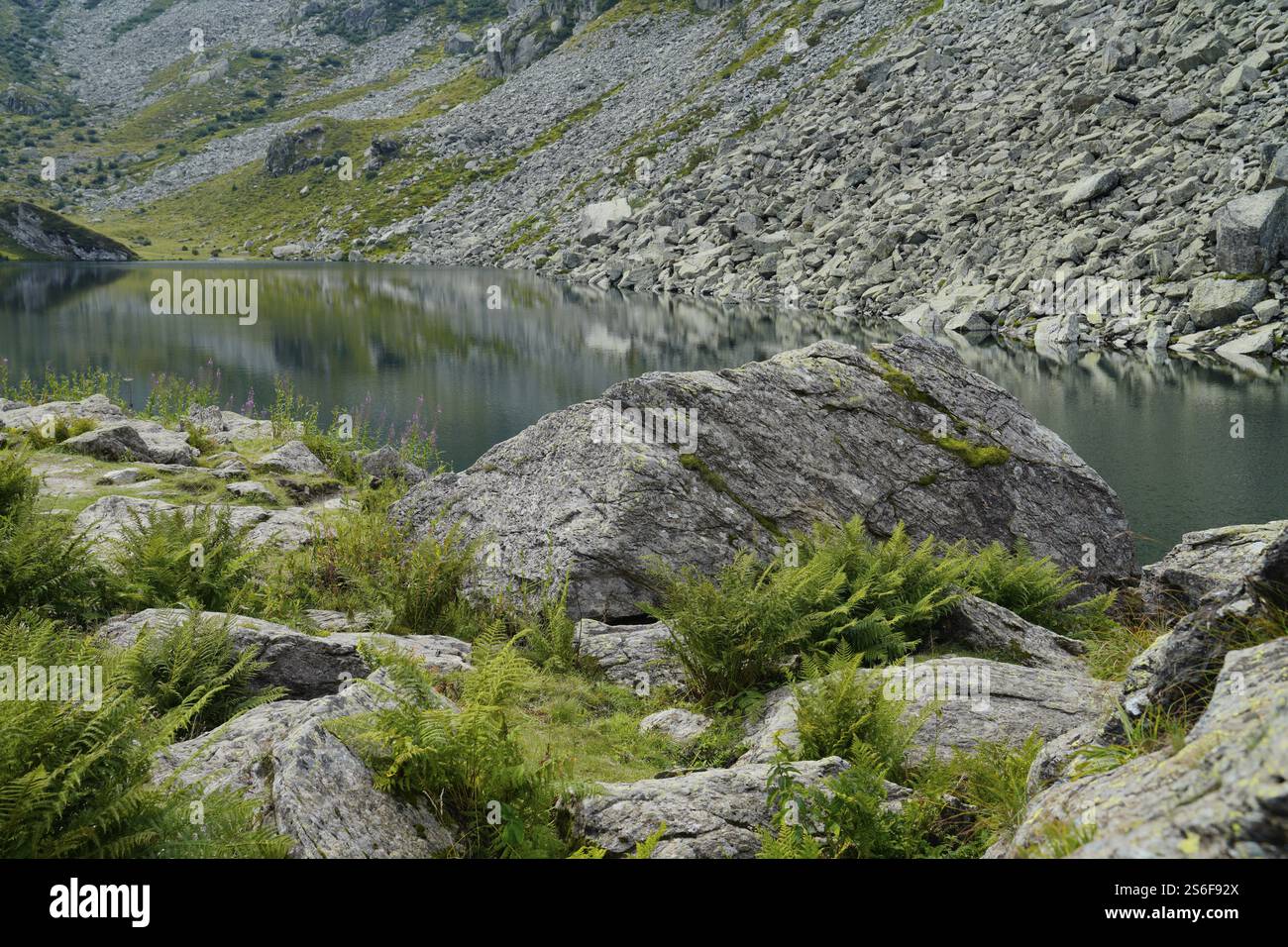 Lago Fiorenza, Parco Monviso, Monviso nature park Park, Cuneo Nature ...