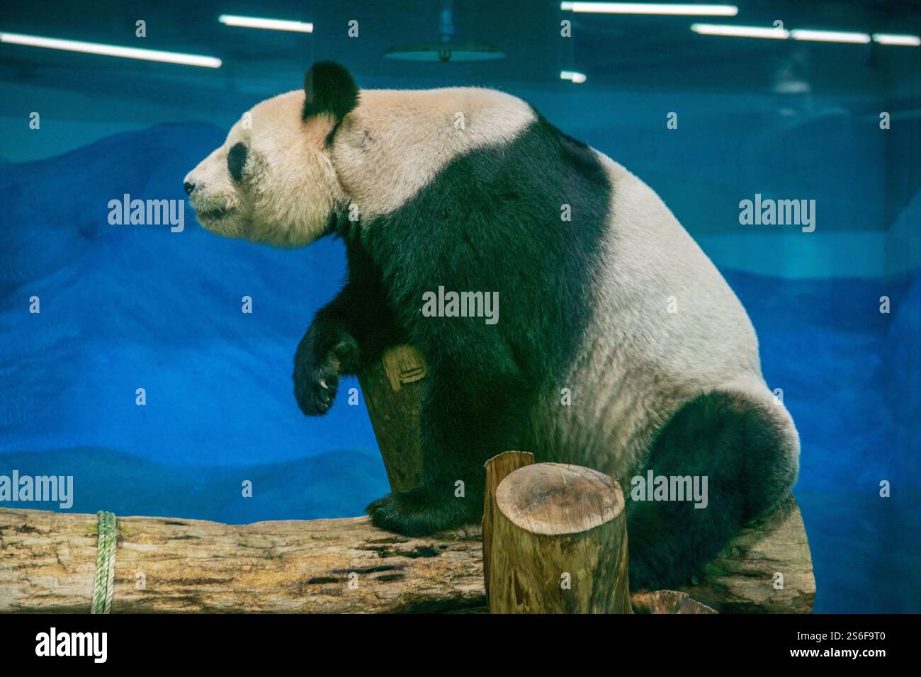 The Taipei Zoo in Taiwan's capital features many different kinds of ...