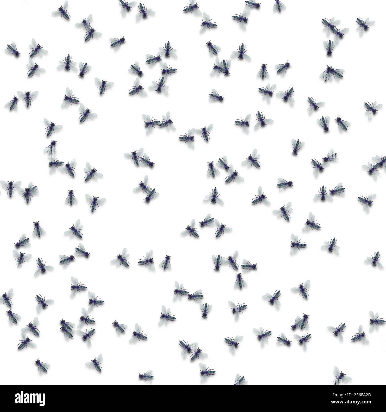 An image of a white background with lots of flies on it Stock Photo - Alamy