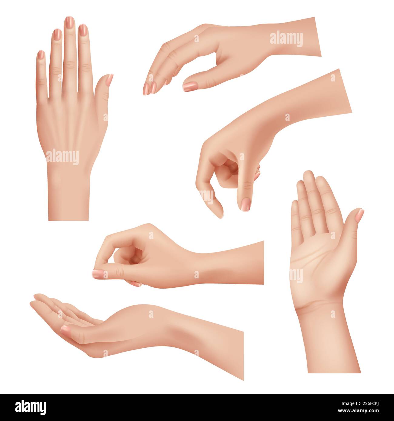 Hands gestures. Female caring skin palm and fingers nails woman cosmetics hands realistic ...