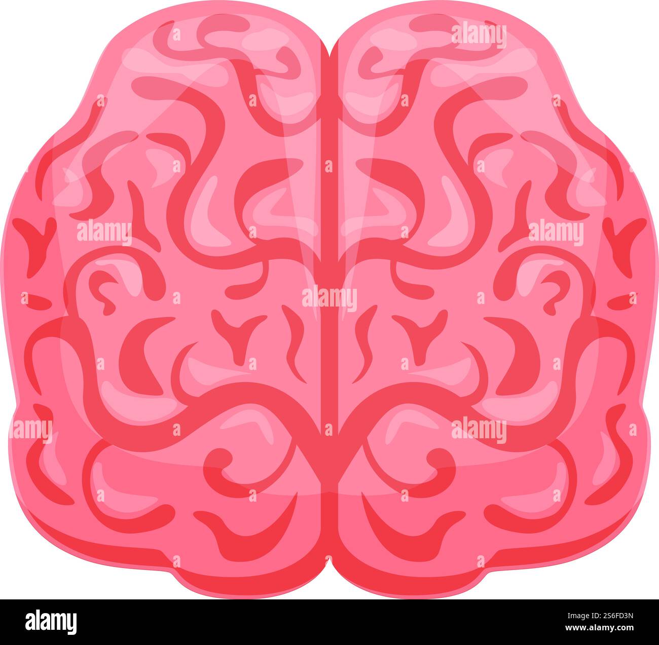 Human brain front icon. Cartoon of human brain front vector icon for ...