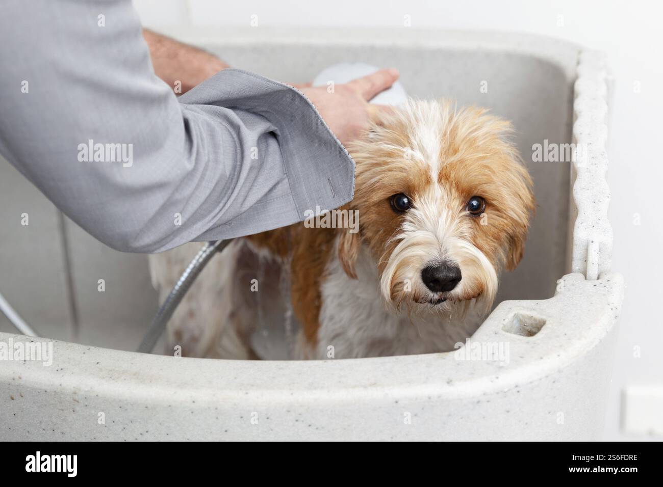 Bathing image hi-res stock photography and images - Alamy